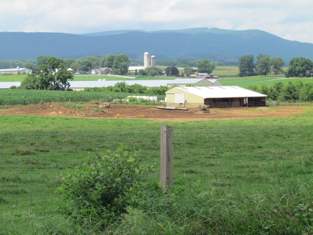 Farm | Elwood Yoder's Blog